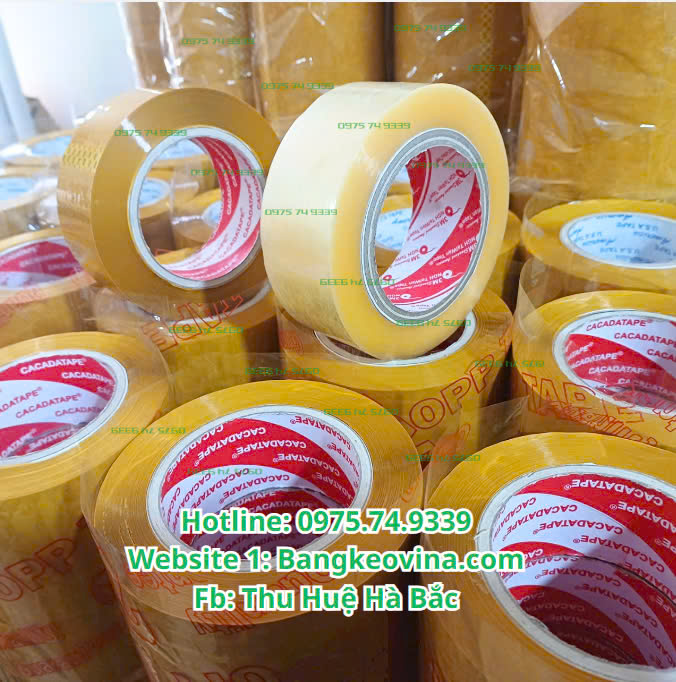 Băng keo trong 48mm 100y